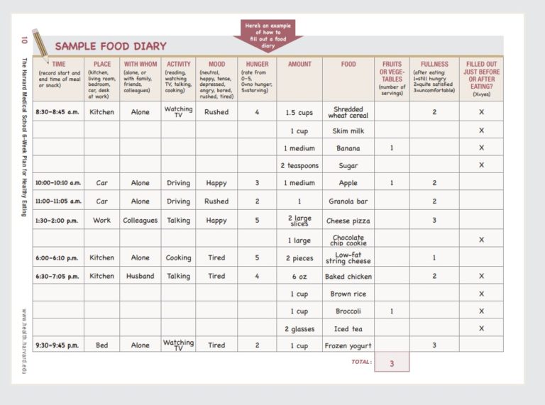Food Journal Template | Free Word Templates