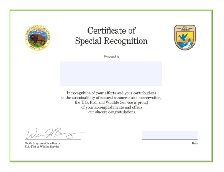 Certificate of Recognition Template | Free Word Templates