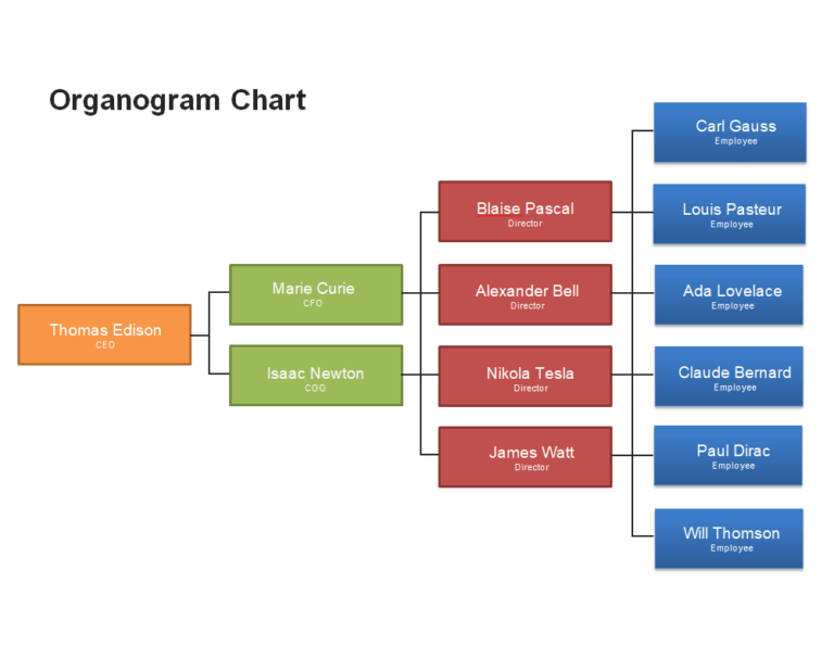 Organogram Template | Free Word Templates