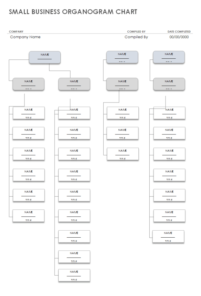 Organogram Template | Free Word Templates